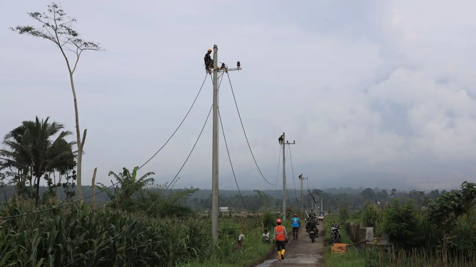 Gerak Cepat Petugas PLN UP3 Jember Normalkan Kelistrikan Korban Erupsi ...
